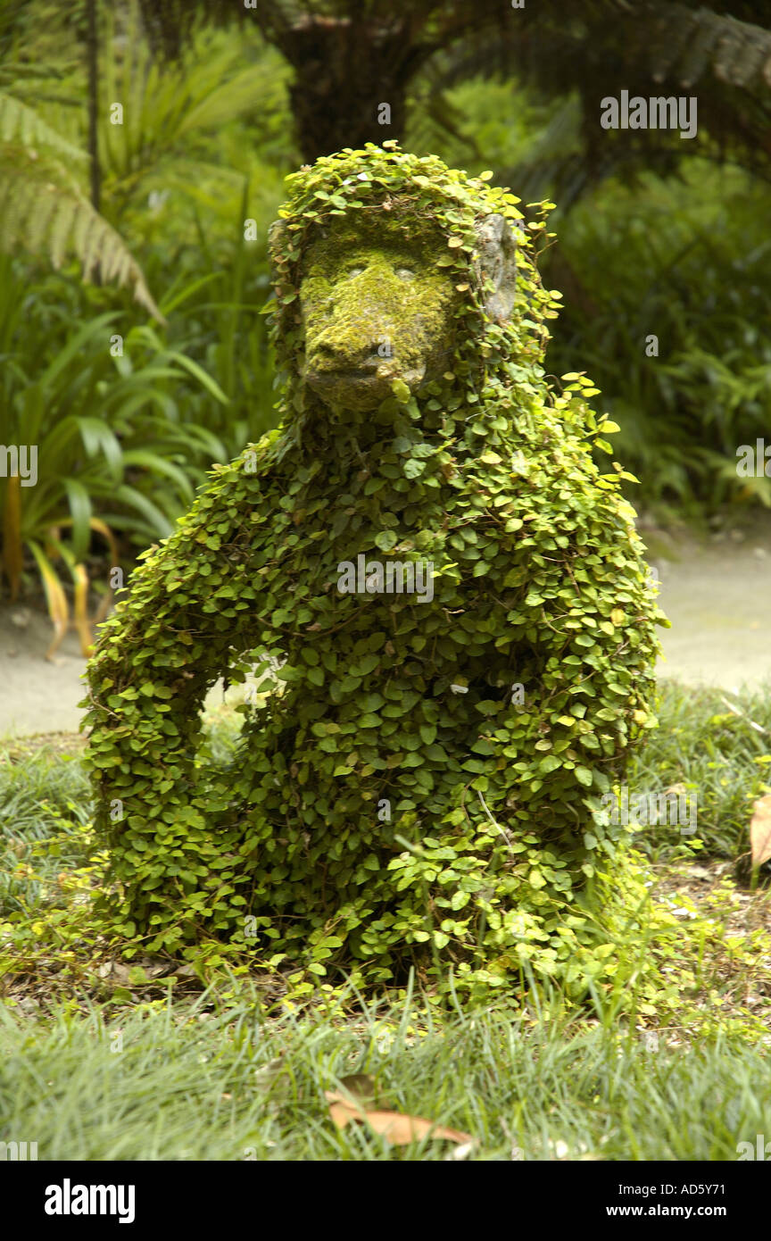 Monkey topiary in Terra Nostra gardens Furnas Sao Miguel island Azores ...