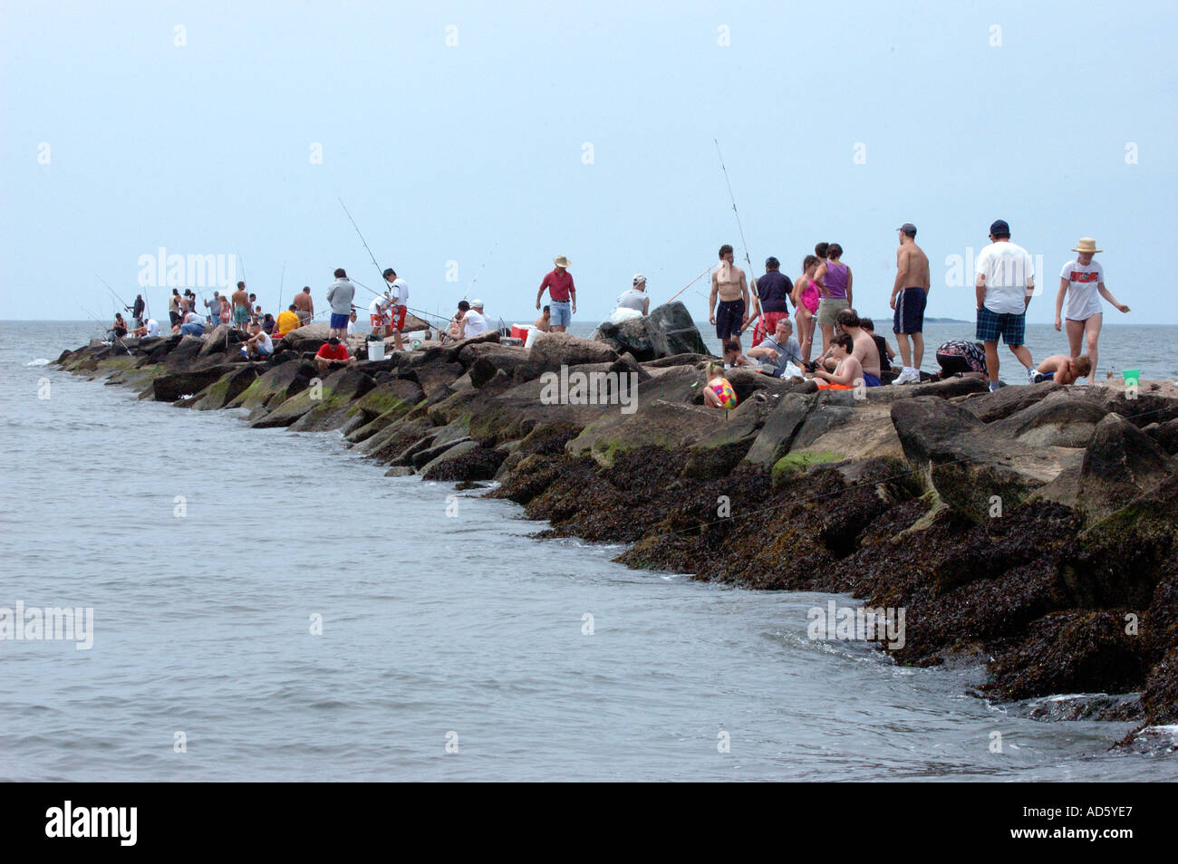 Beach crowded beach mobbed beach mob gathering assembly pack flock ...