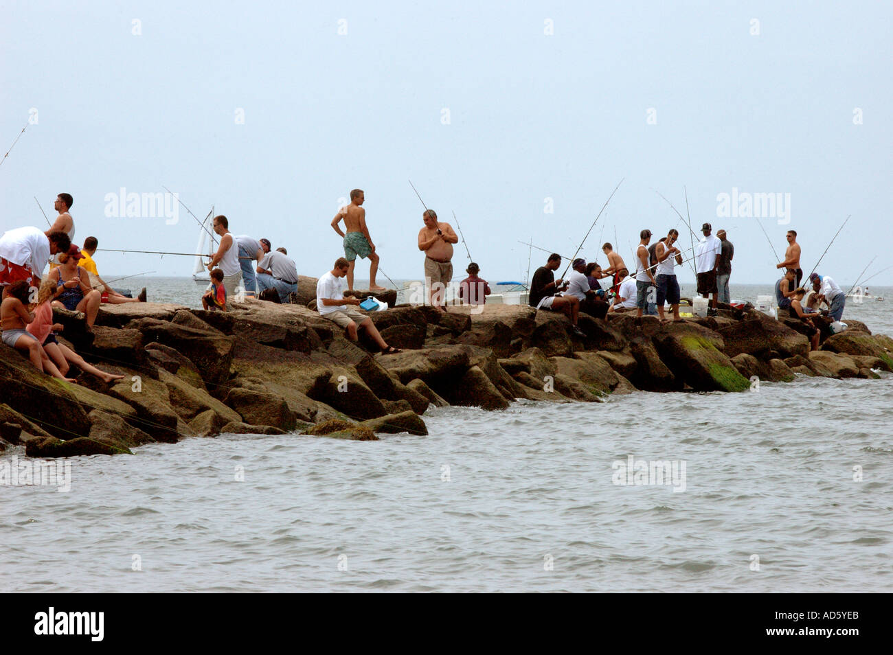 Beach crowded beach mobbed beach mob gathering assembly pack flock ...