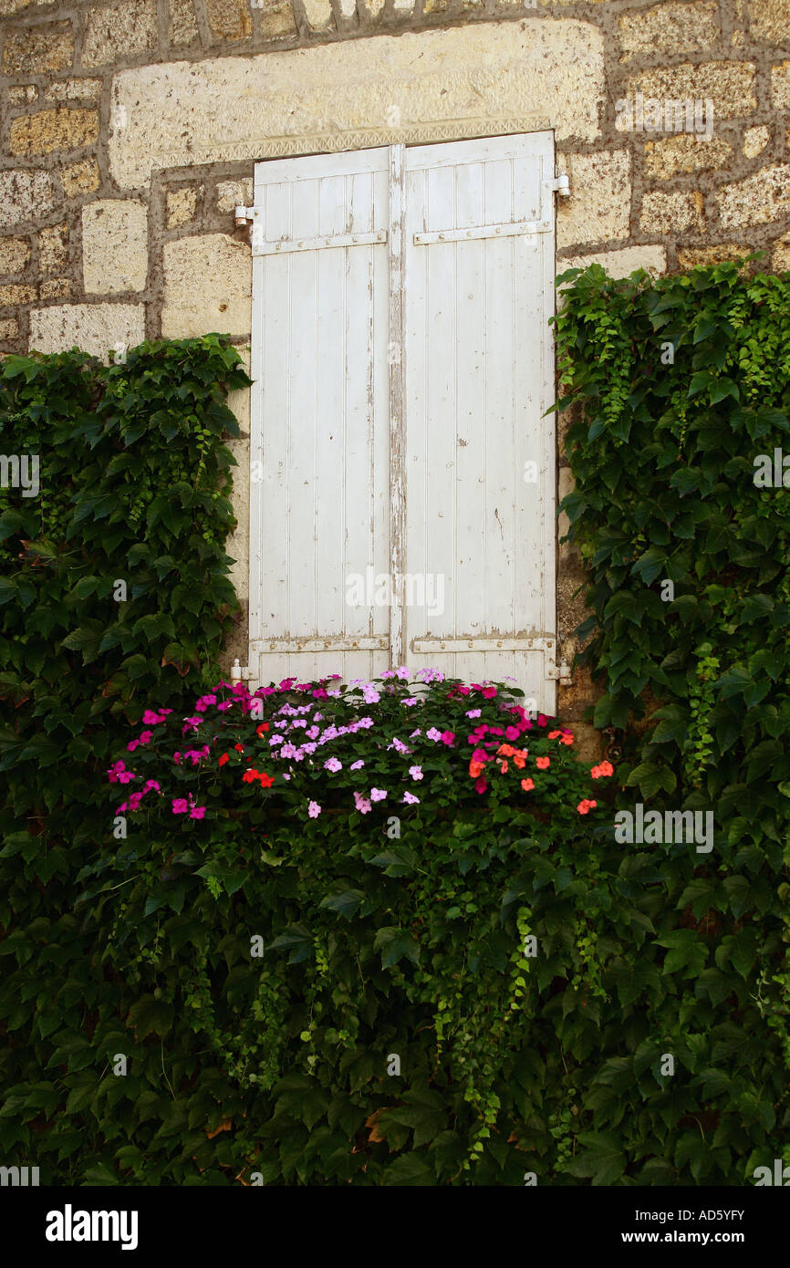 Climbing plants and flowers at the window of a house Stock Photo - Alamy