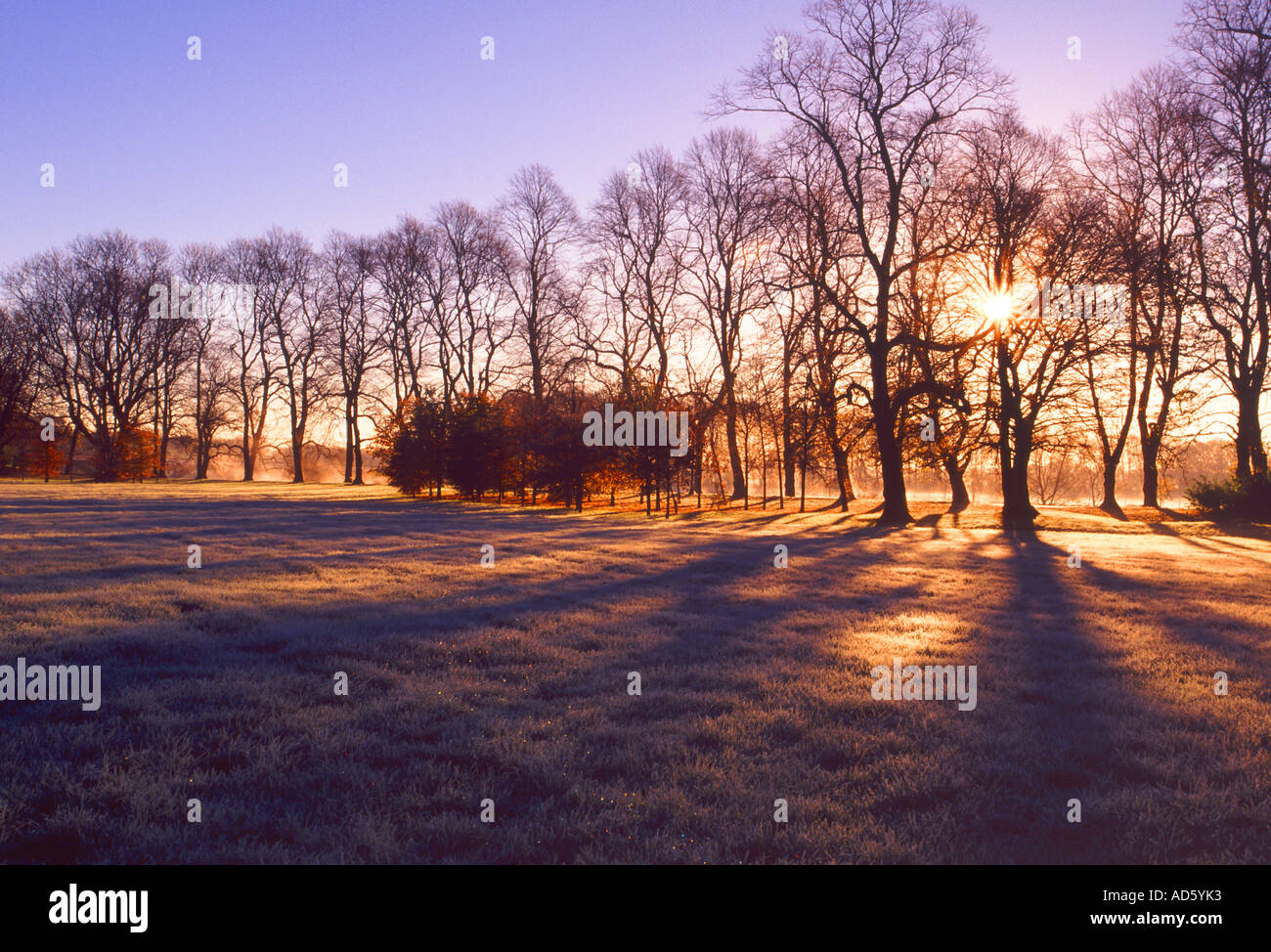 Avenham Park, Preston, Lancashire Stock Photo - Alamy