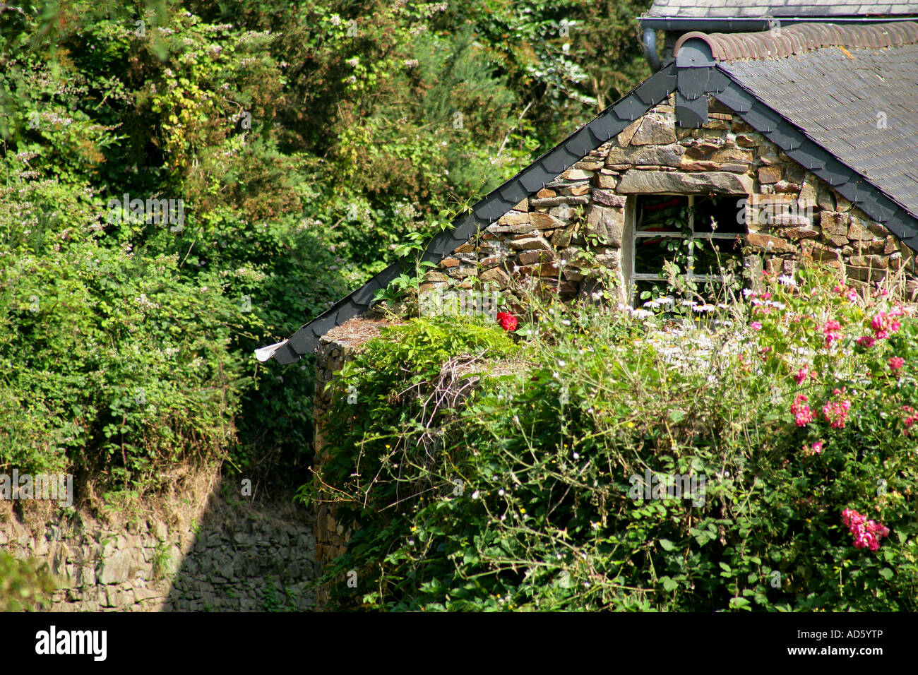 Countryside house surrounded by flowers Stock Photo - Alamy