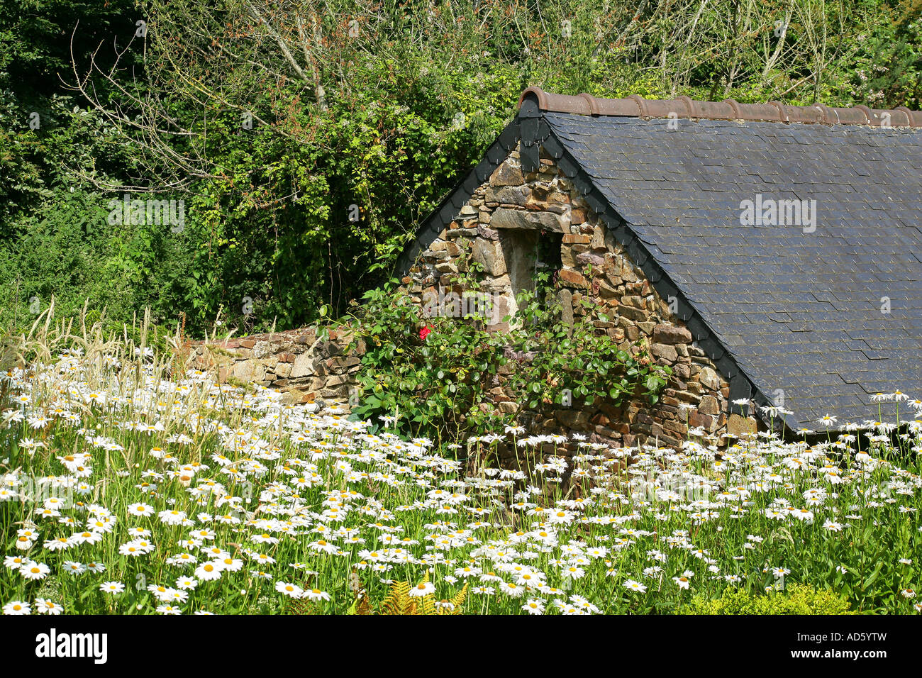 Countryside house surrounded by flowers Stock Photo - Alamy