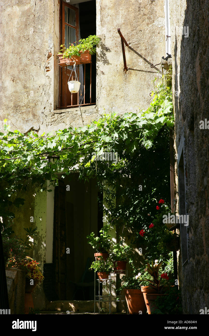 Old house decorated with flowers Stock Photo - Alamy