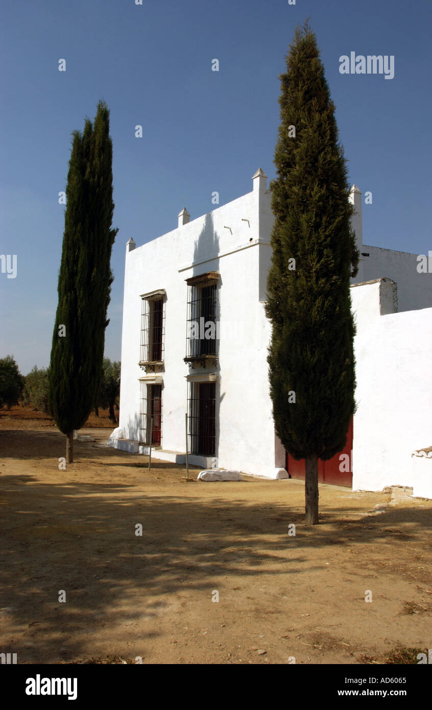 white hacienda with cypress trees Stock Photo - Alamy