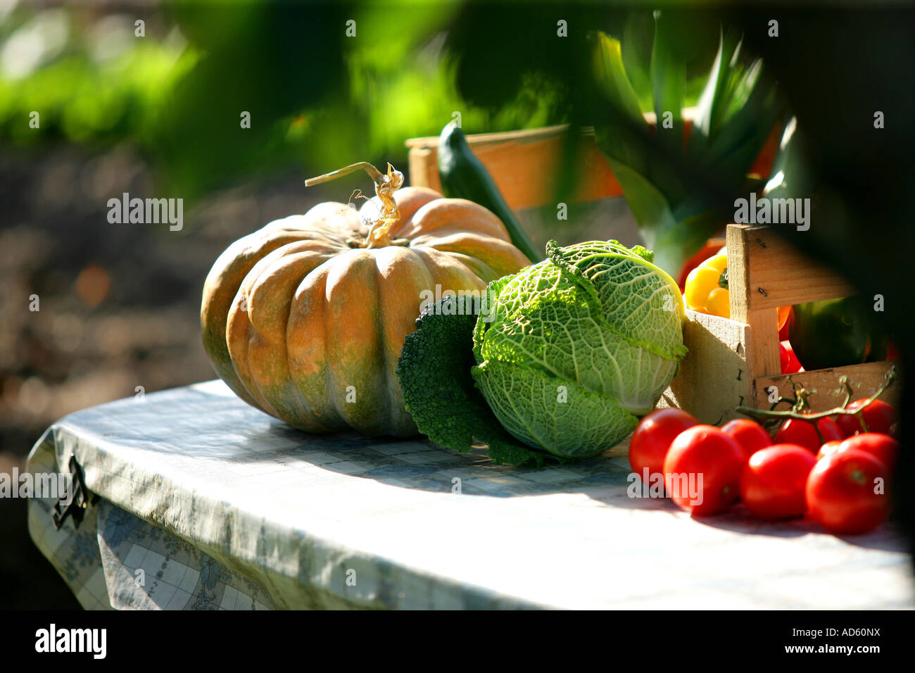 Vegetables on a table Stock Photo - Alamy