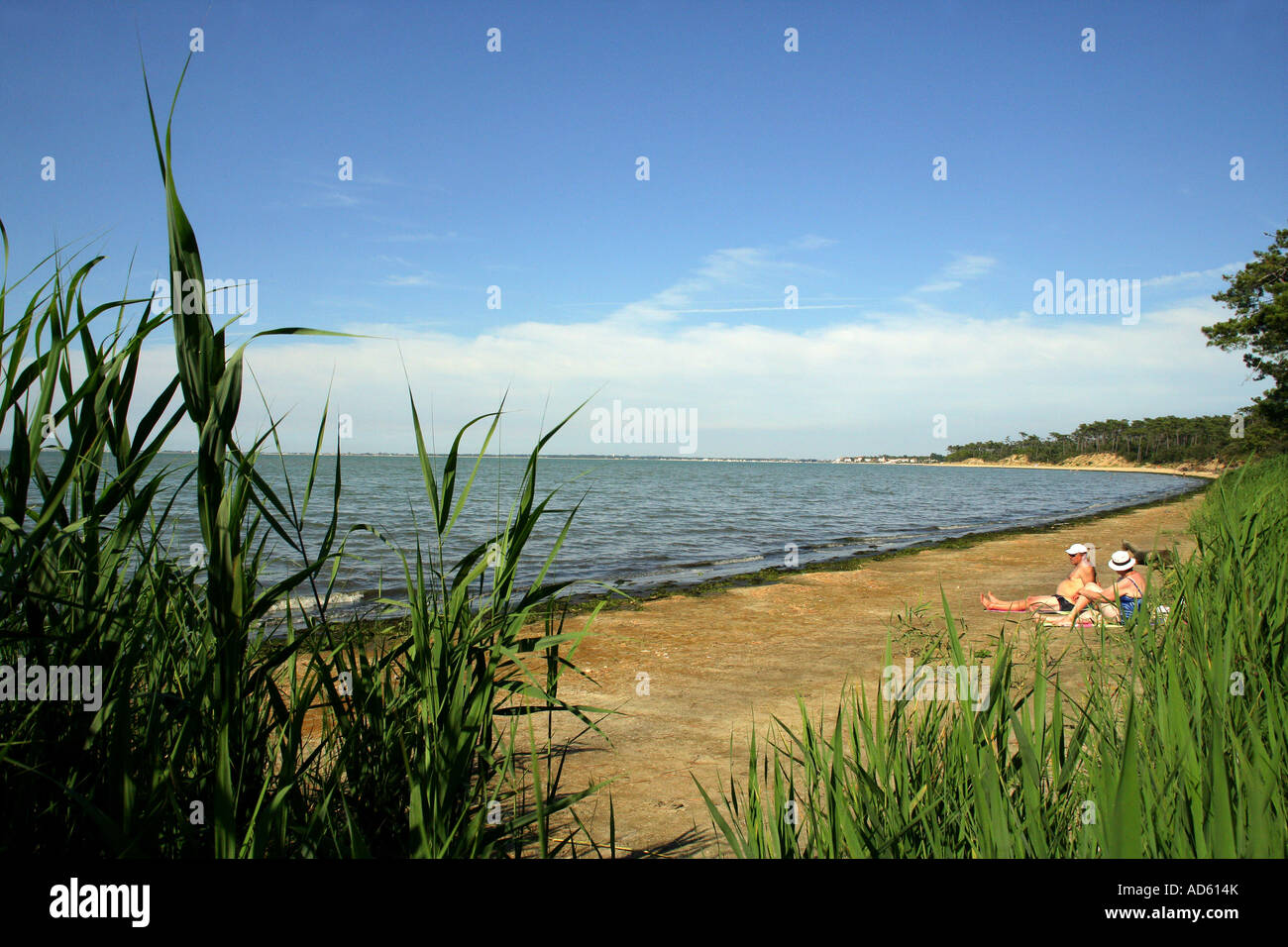 People relaxing on the beach Stock Photo - Alamy