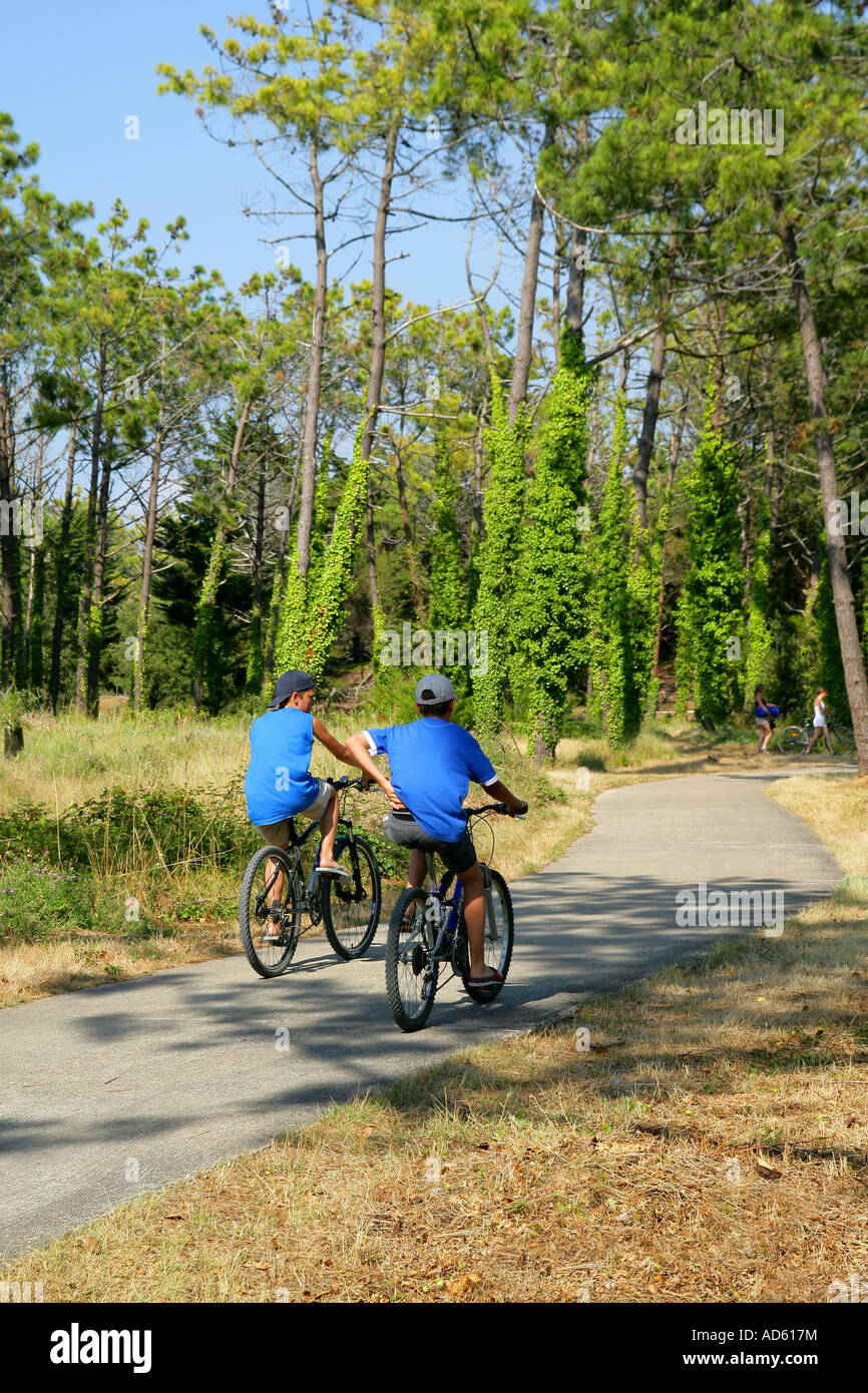 people riding bicycle in forest Stock Photo - Alamy