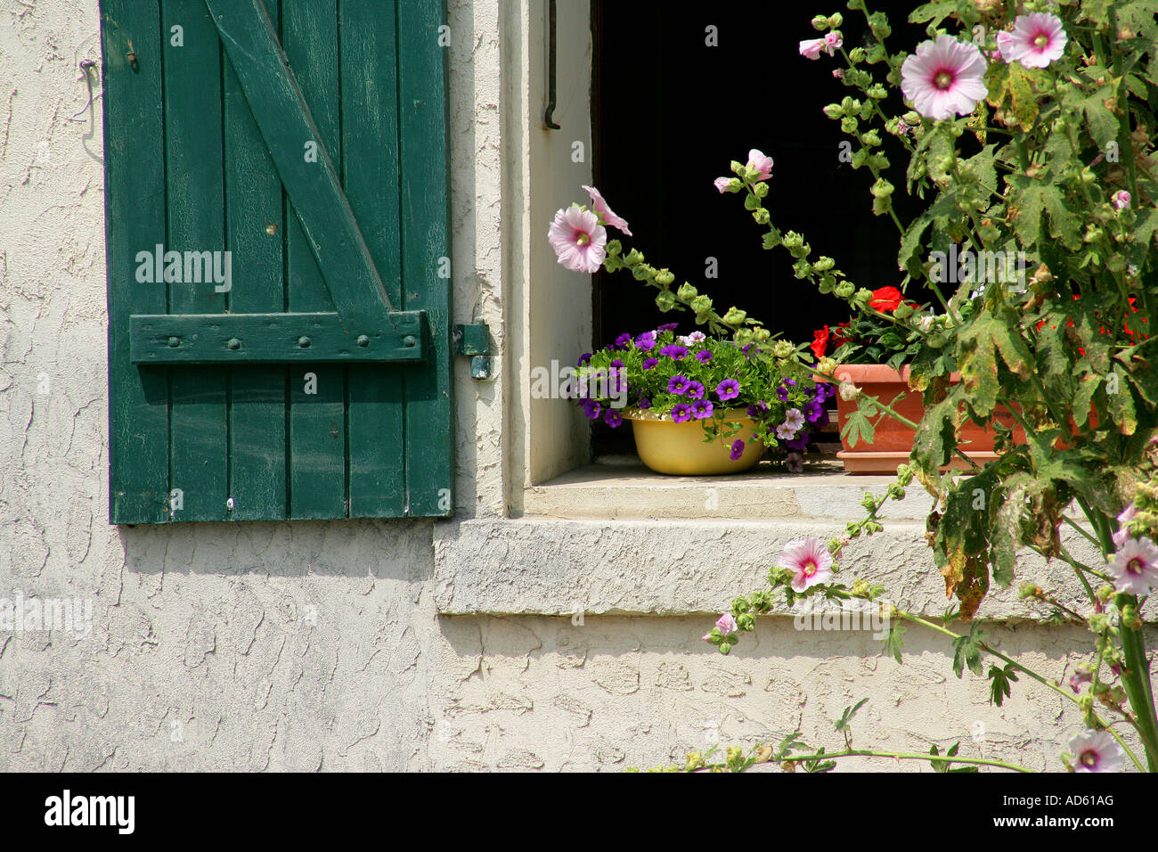 Flowers at a window Stock Photo - Alamy