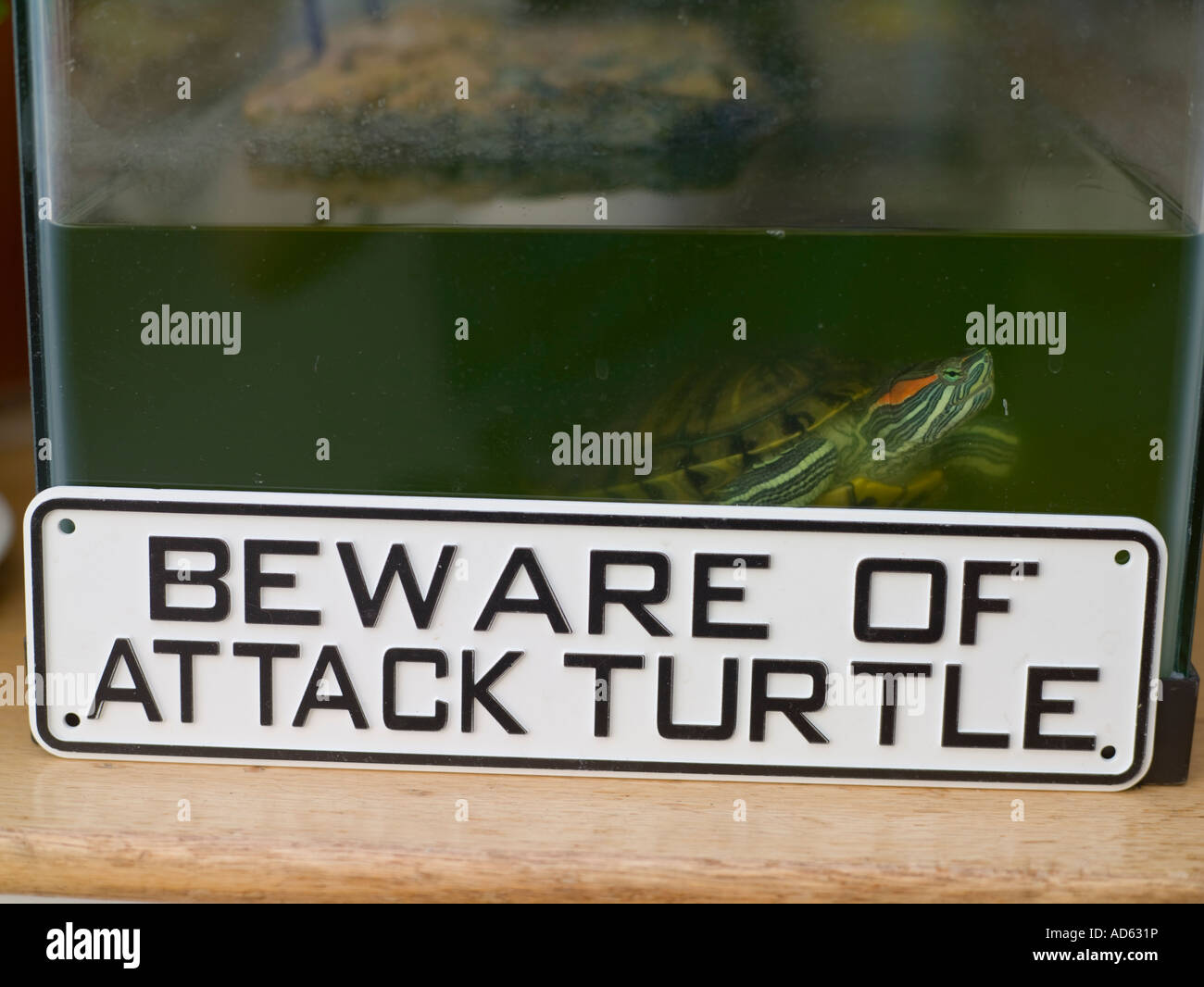 Beware of attack turtle sign, with turtle Stock Photo - Alamy