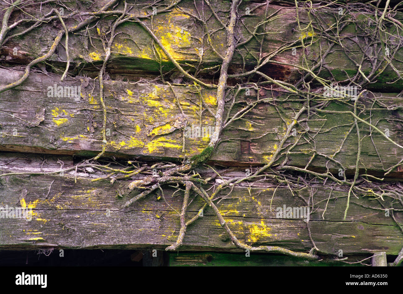 Weathered barn beams hi-res stock photography and images - Alamy
