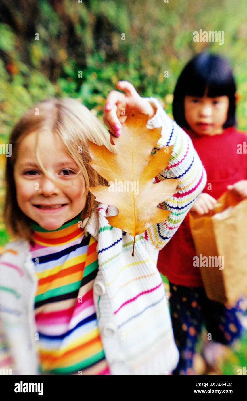 4 leaf gathering hi-res stock photography and images - Alamy