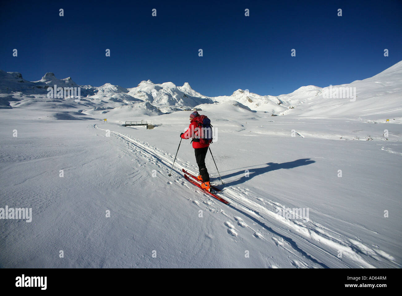 cross-country skier on a track Stock Photo - Alamy