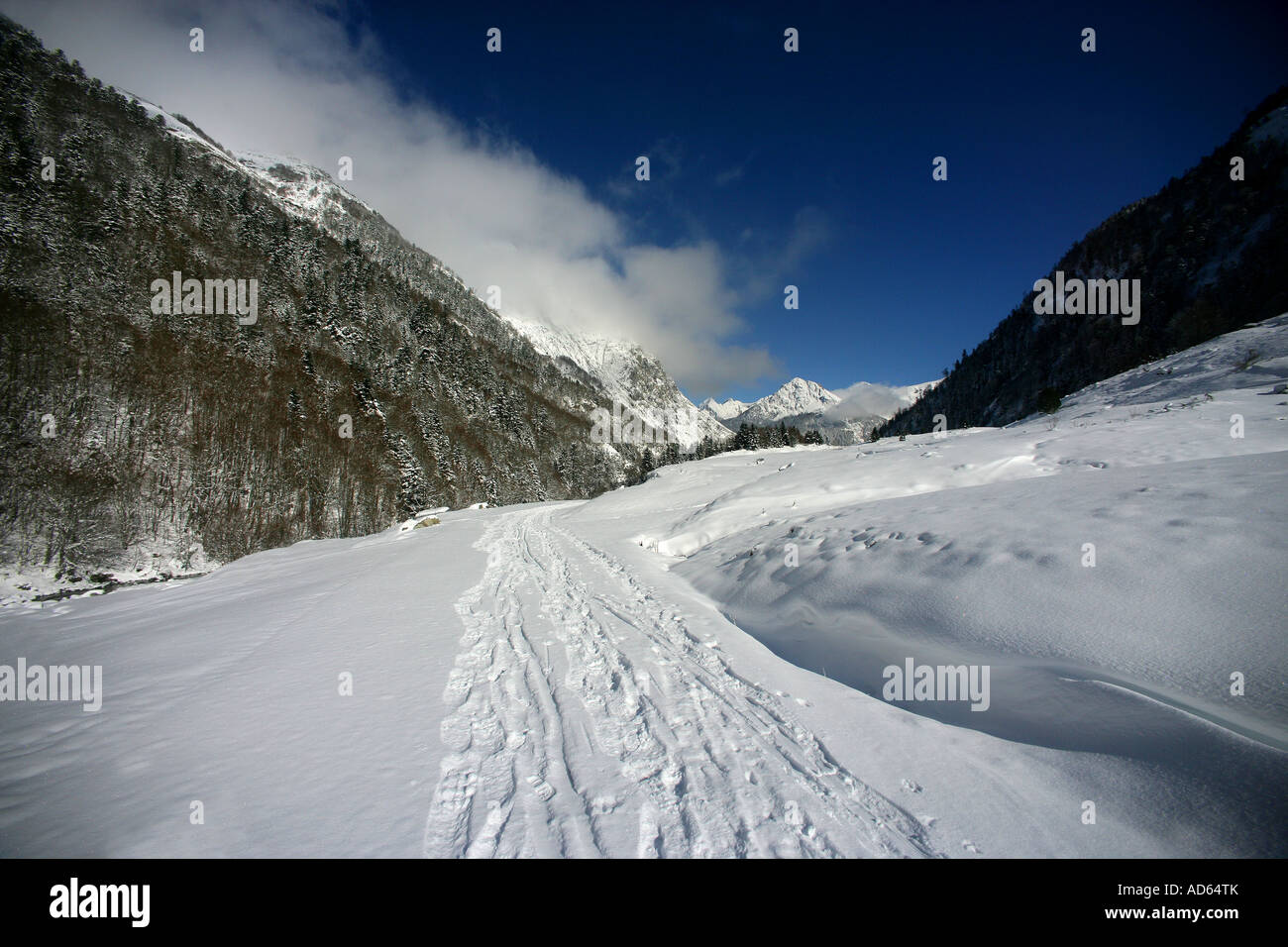 snow covered track between two tree covered mountain peaks Stock Photo ...