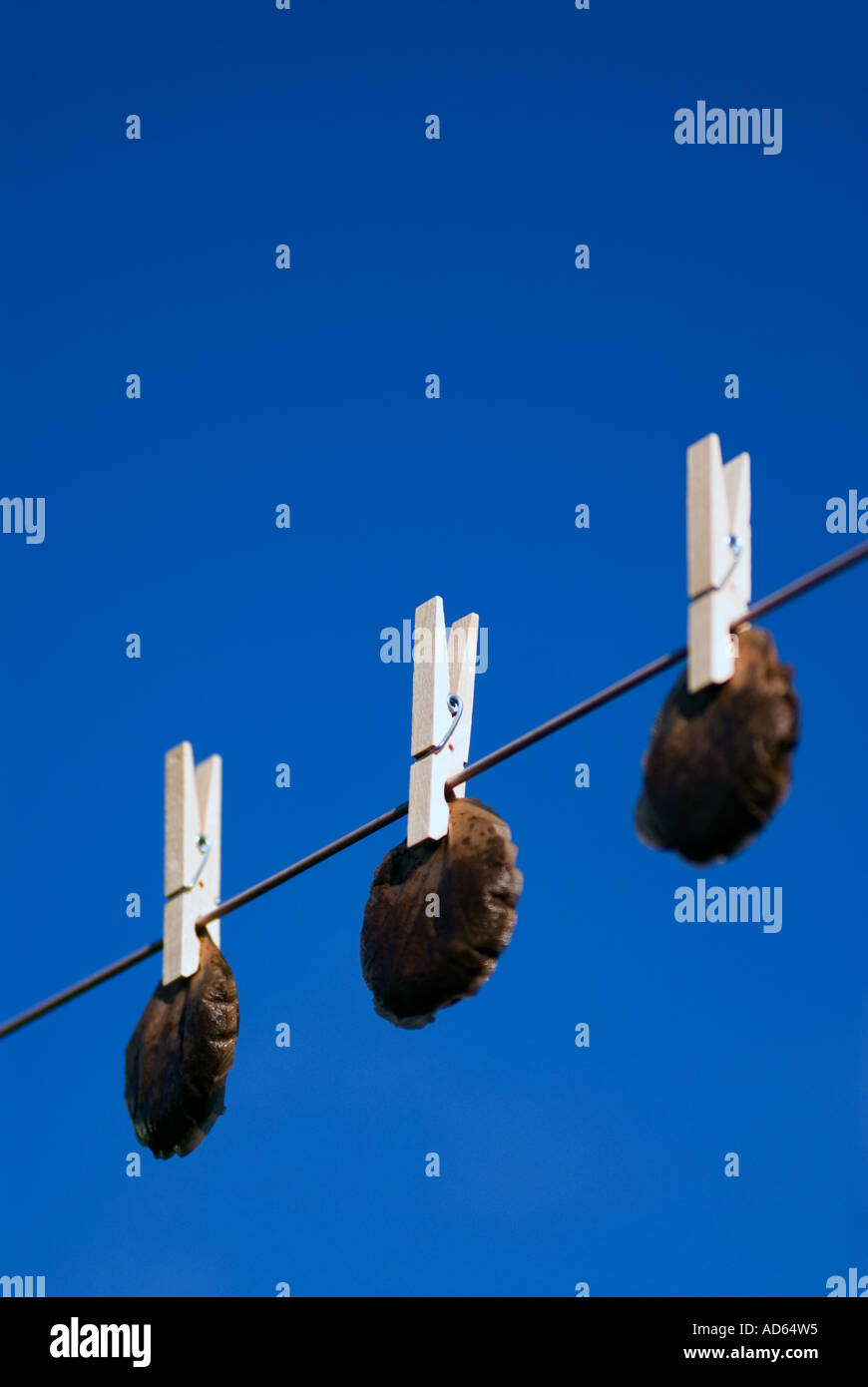Wet clothes pegged to washing line hi-res stock photography and images ...