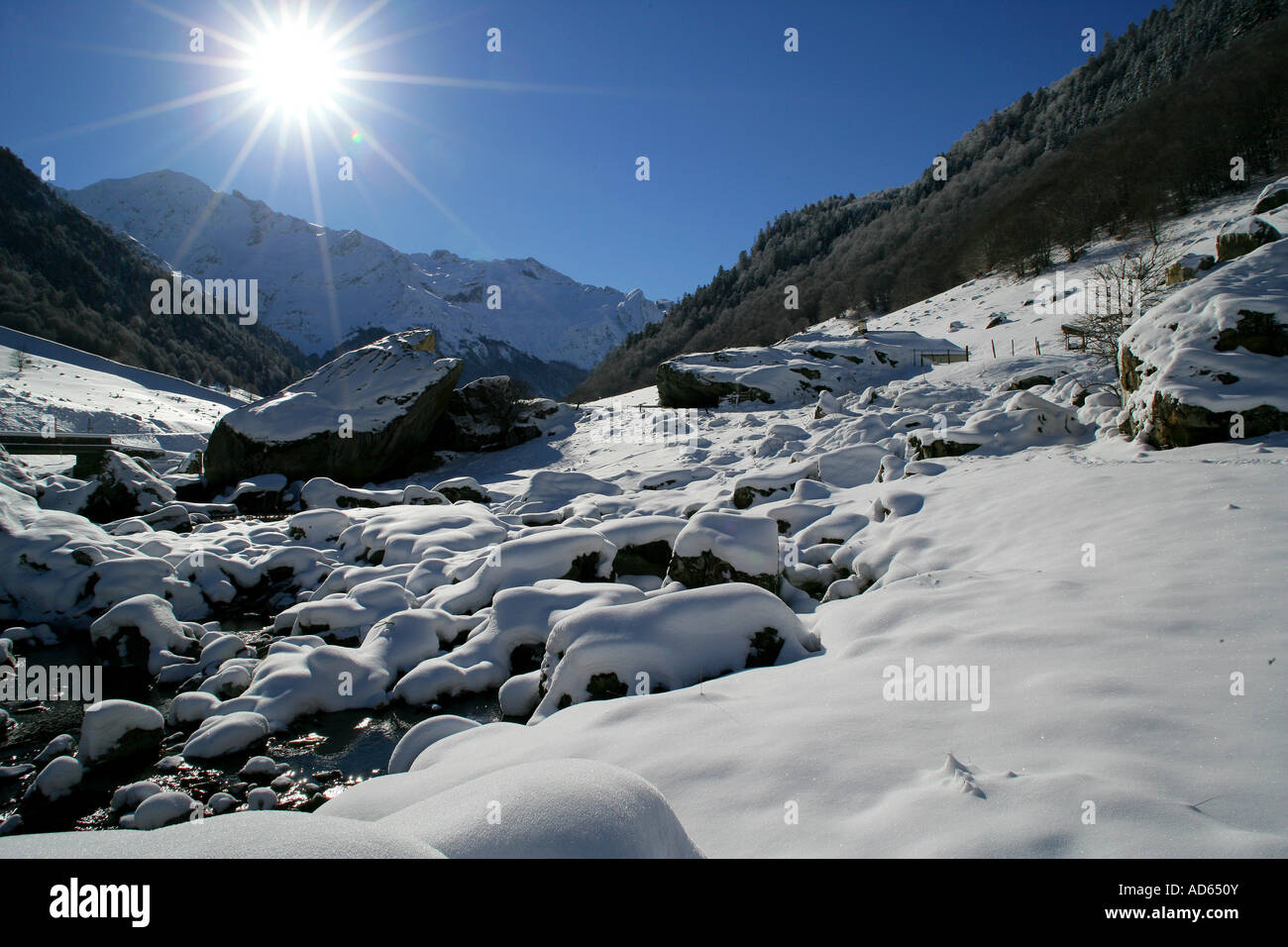 snow covered stones, rocks and stream crossing a tree covered mountain ...