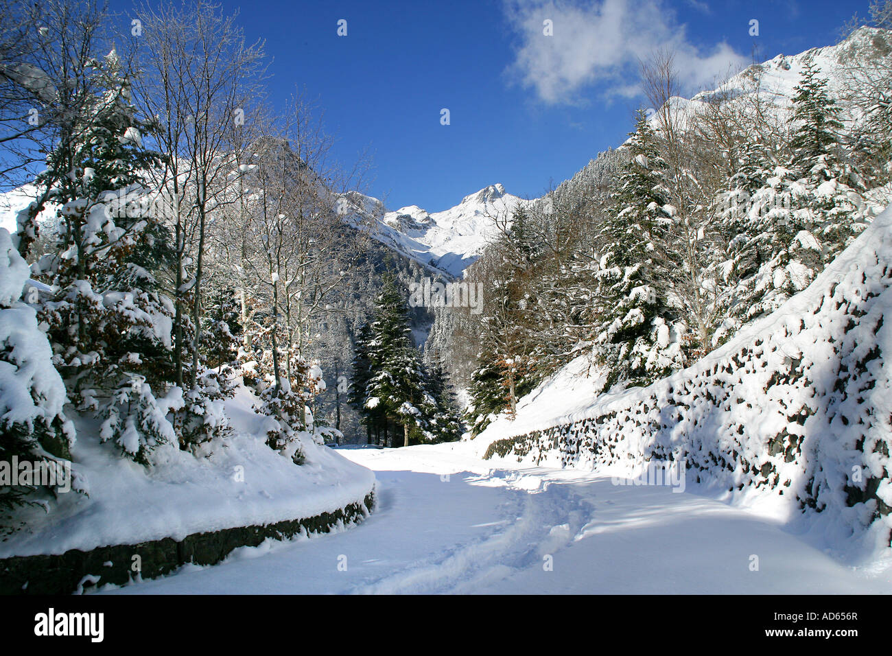 snow covered track Stock Photo - Alamy