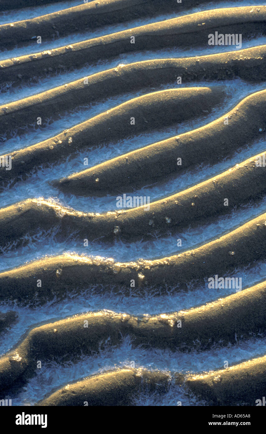 Frozen sand ripples Stock Photo - Alamy