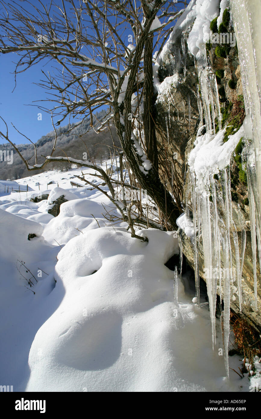 stalactites of ice in a landscape of snow Stock Photo - Alamy