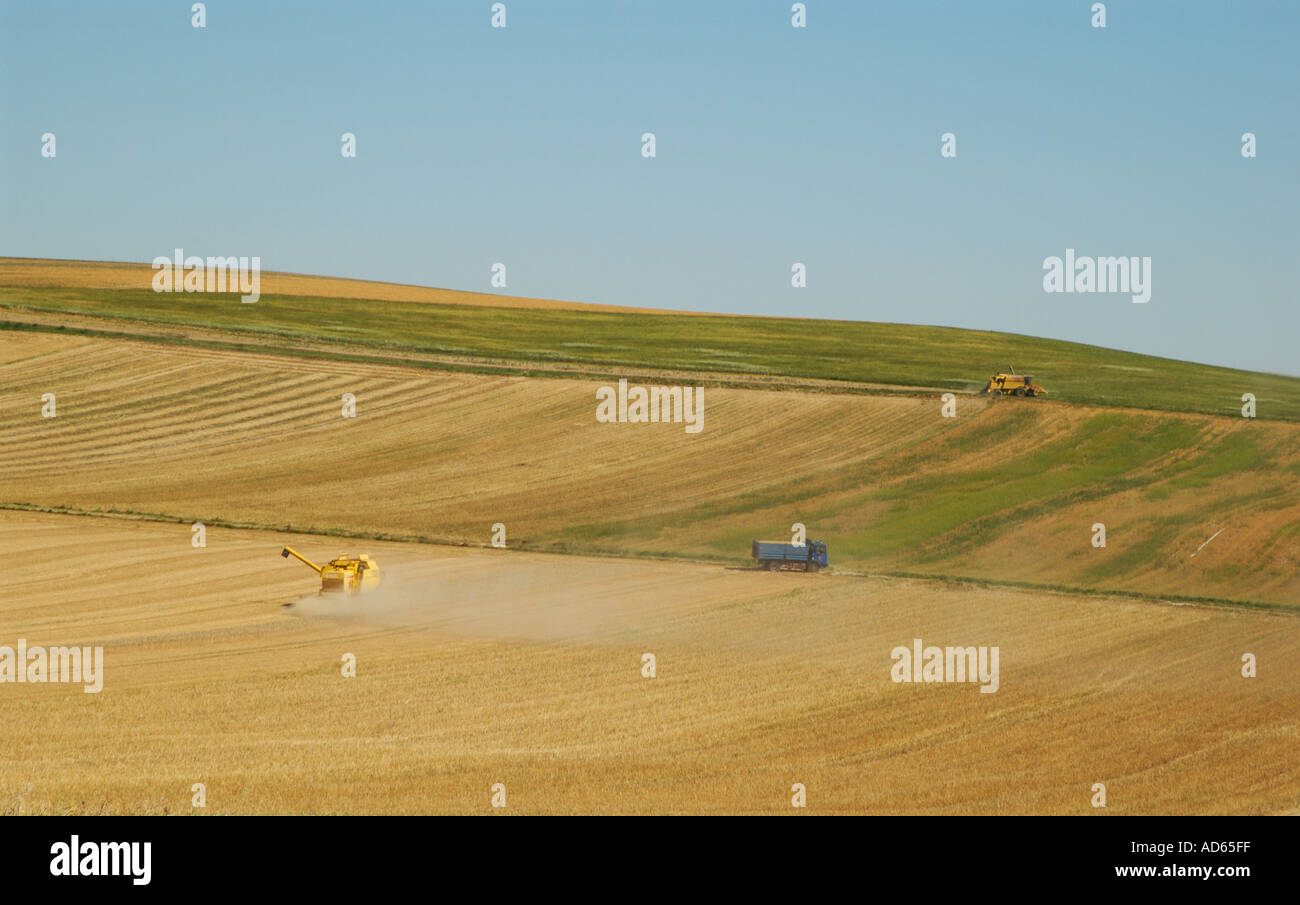 Agriculture Agricultural color Combine countryside crop corn cutivation ...