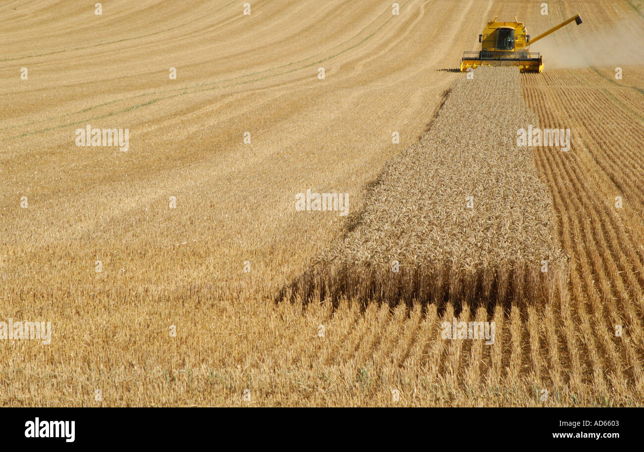 Agriculture Agricultural color Combine countryside crop corn cutivation ...