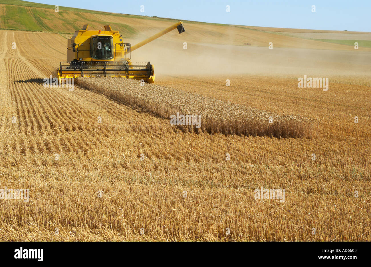 Agriculture Agricultural color Combine countryside crop corn cutivation ...