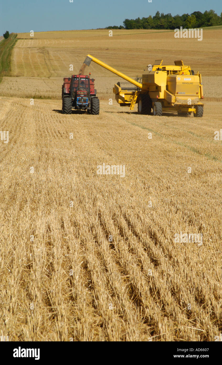 Agriculture Agricultural color Combine countryside crop corn cutivation ...