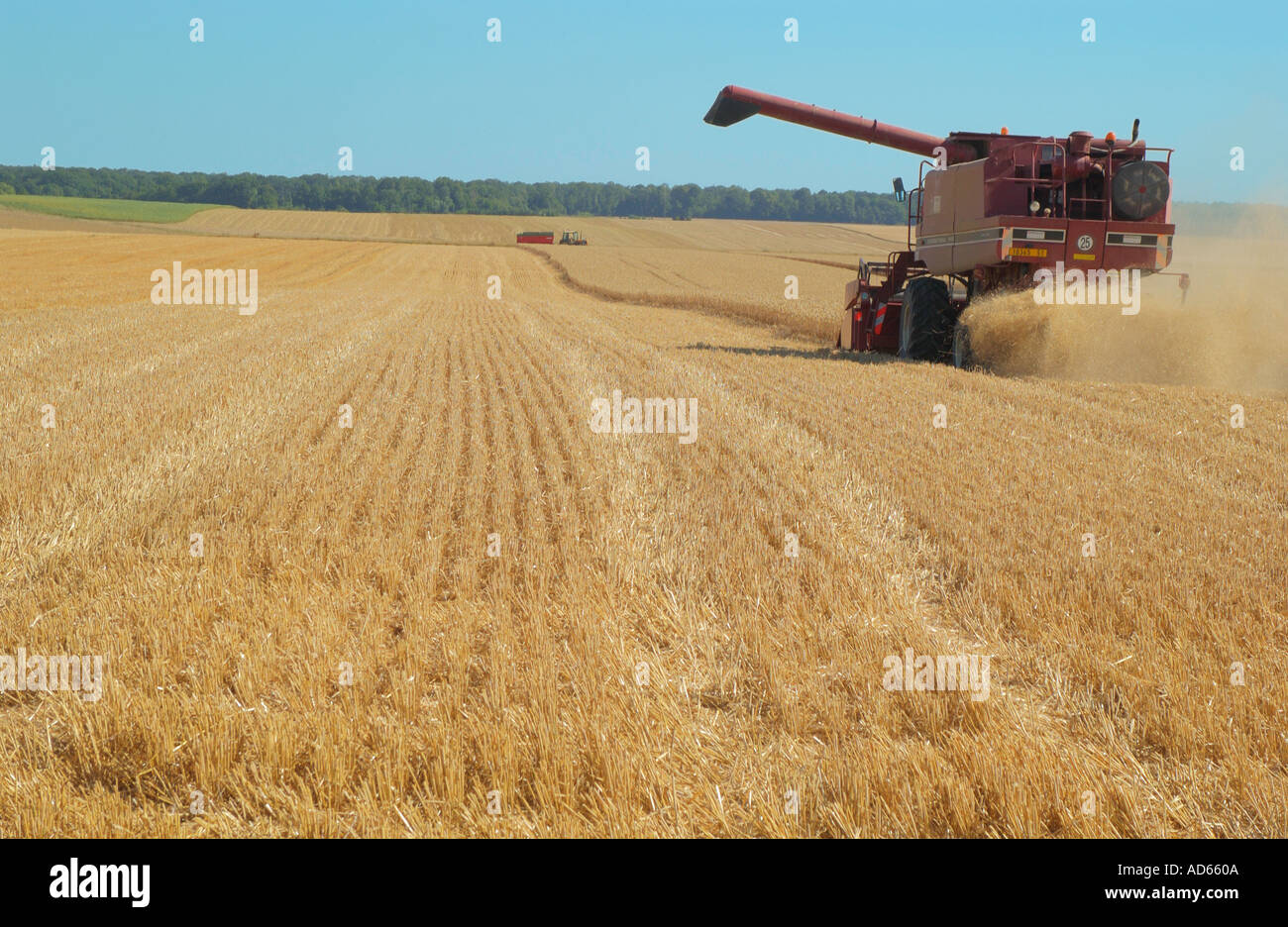 Agriculture Agricultural color Combine countryside crop corn cutivation ...
