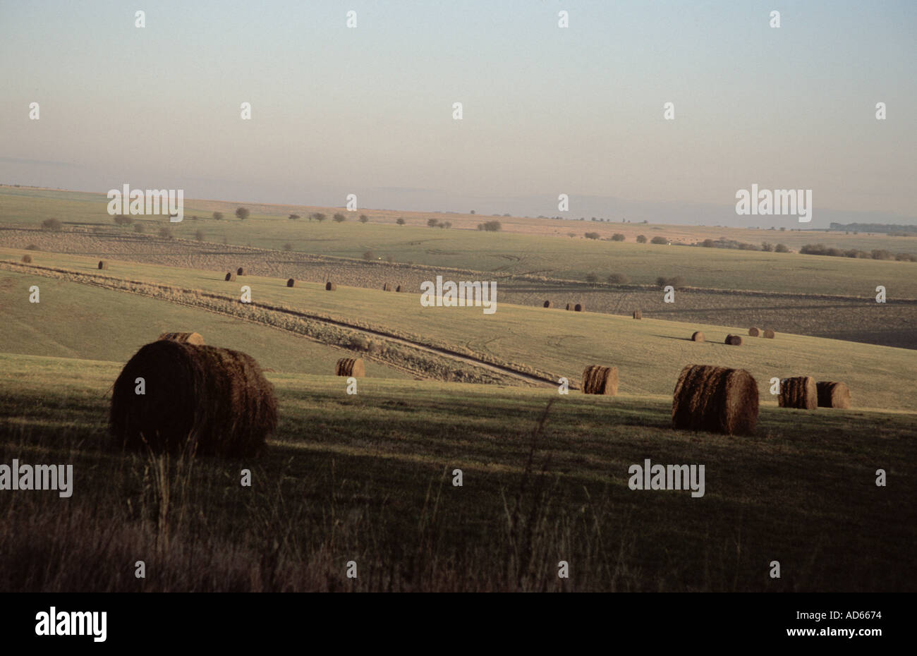 Wiltshire plain hi-res stock photography and images - Alamy