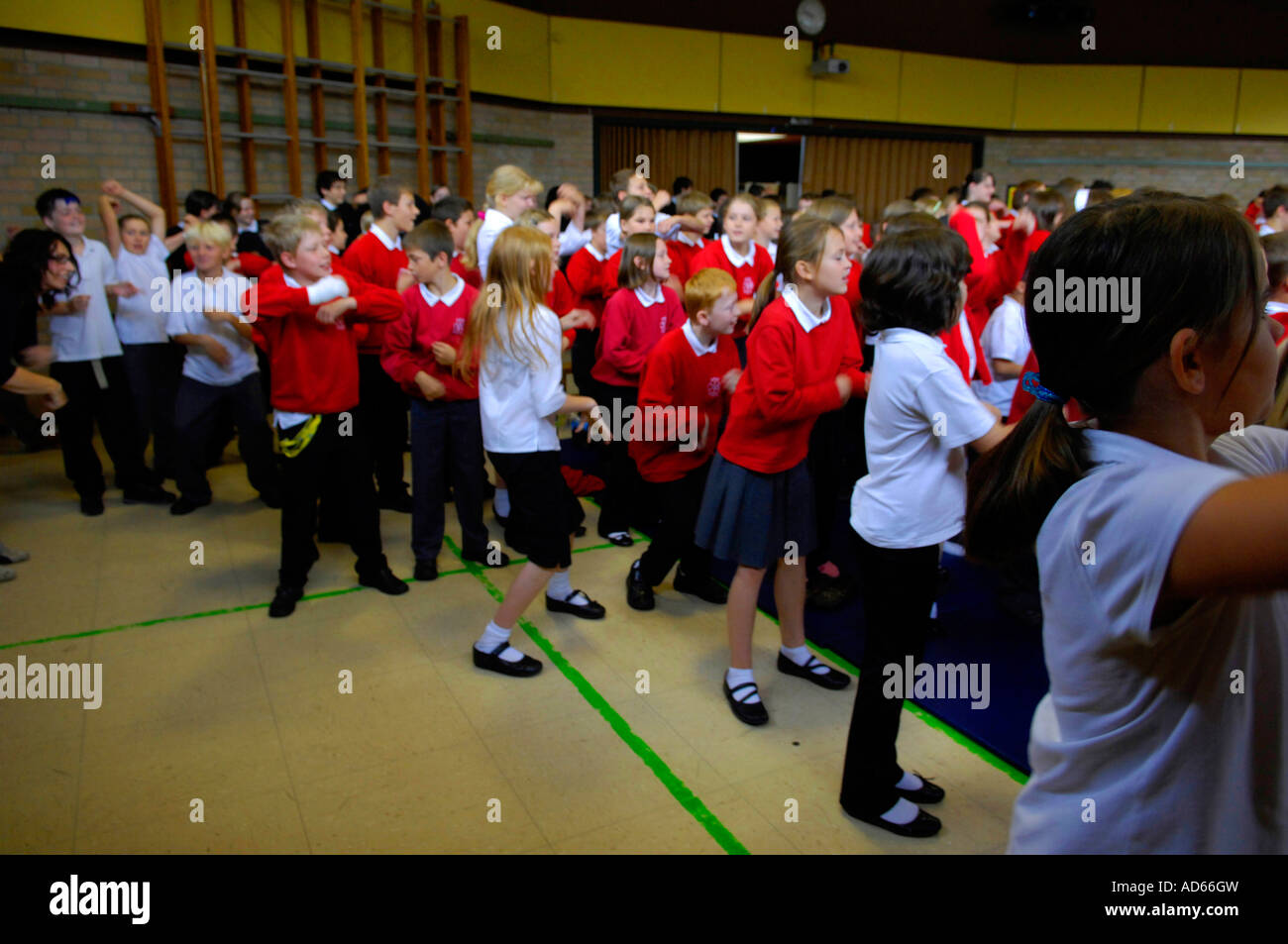 school children students kids pupils education british red hall ...