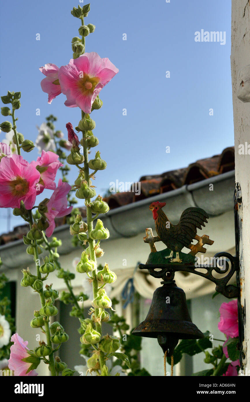 Rooster shape hi-res stock photography and images - Alamy