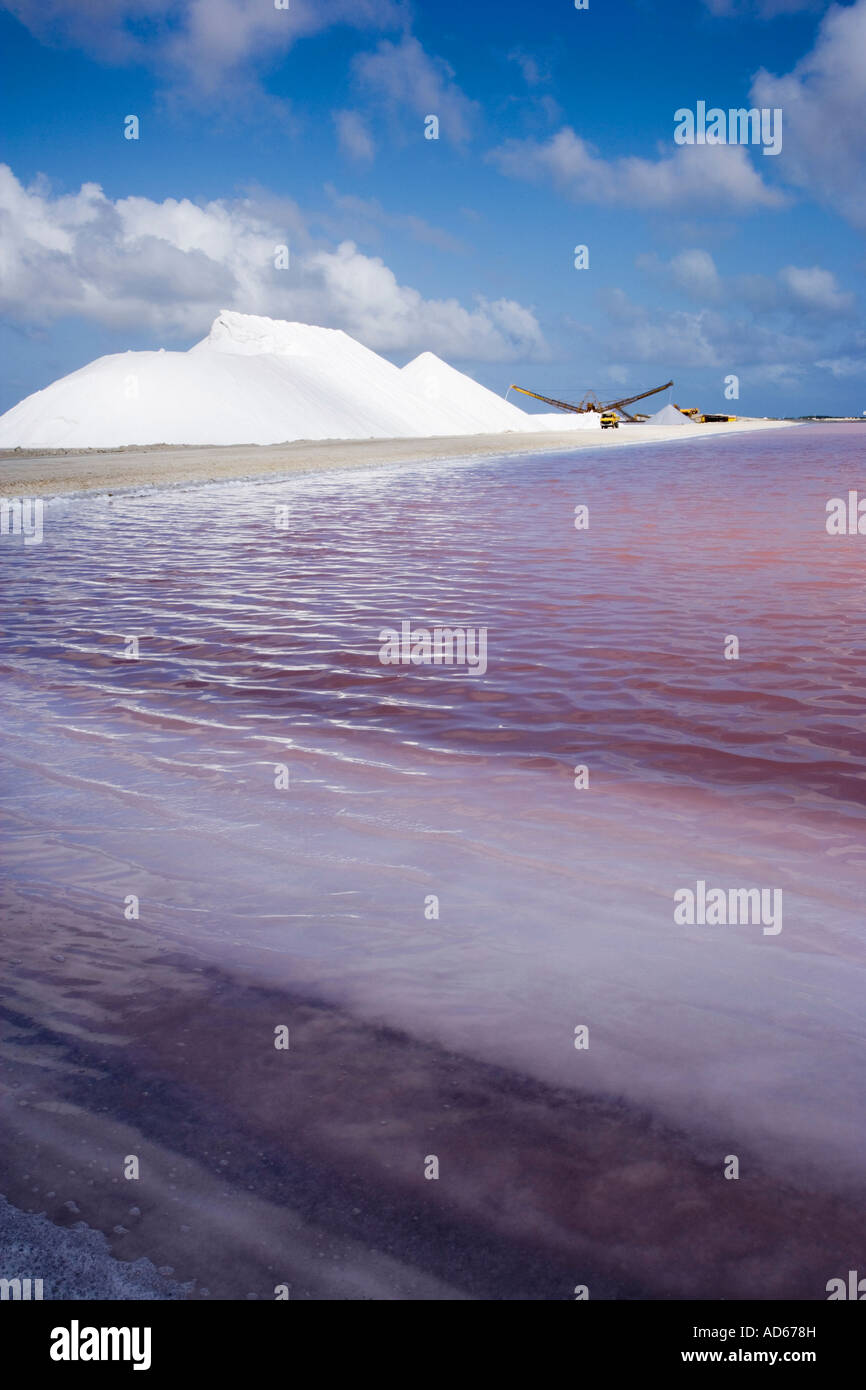 Cargill solar salt operation south hi-res stock photography and images ...