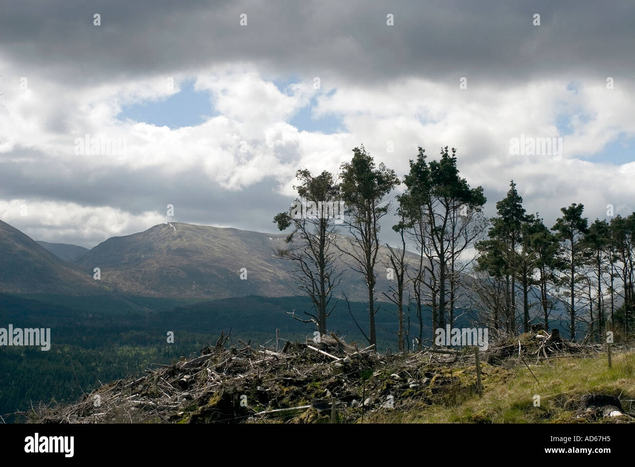 Forestry scotland waste hi-res stock photography and images - Alamy