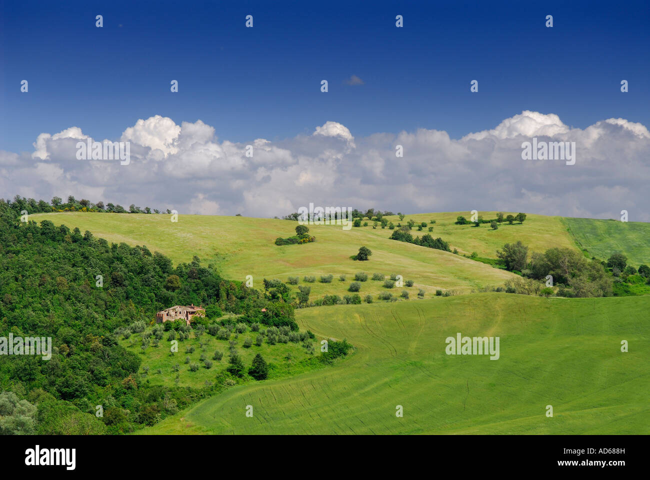 Abondoned farmhouse by rolling farm fields in Umbria Italy Stock Photo ...