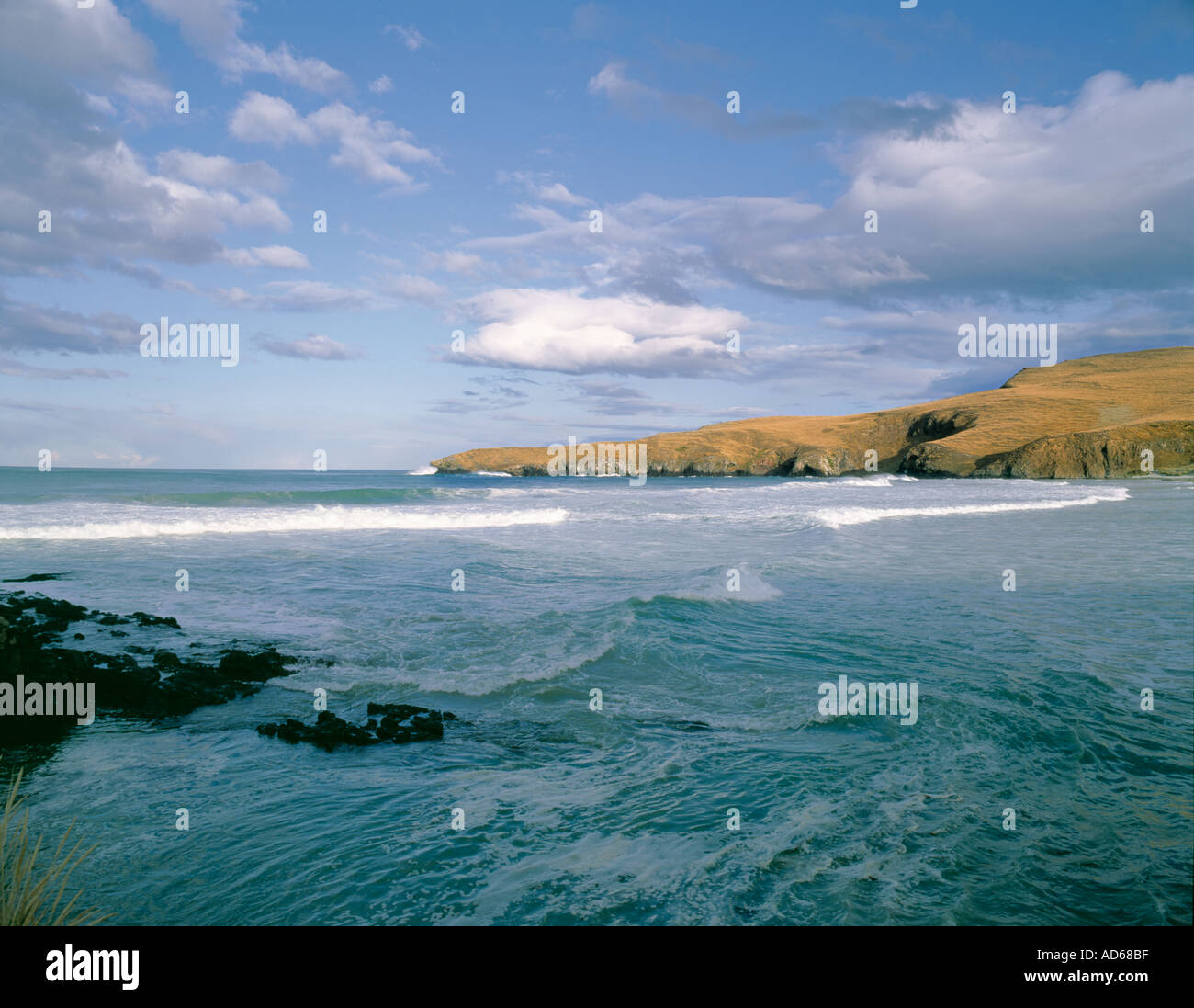Otago peninsula hiking new zealand hi-res stock photography and images ...