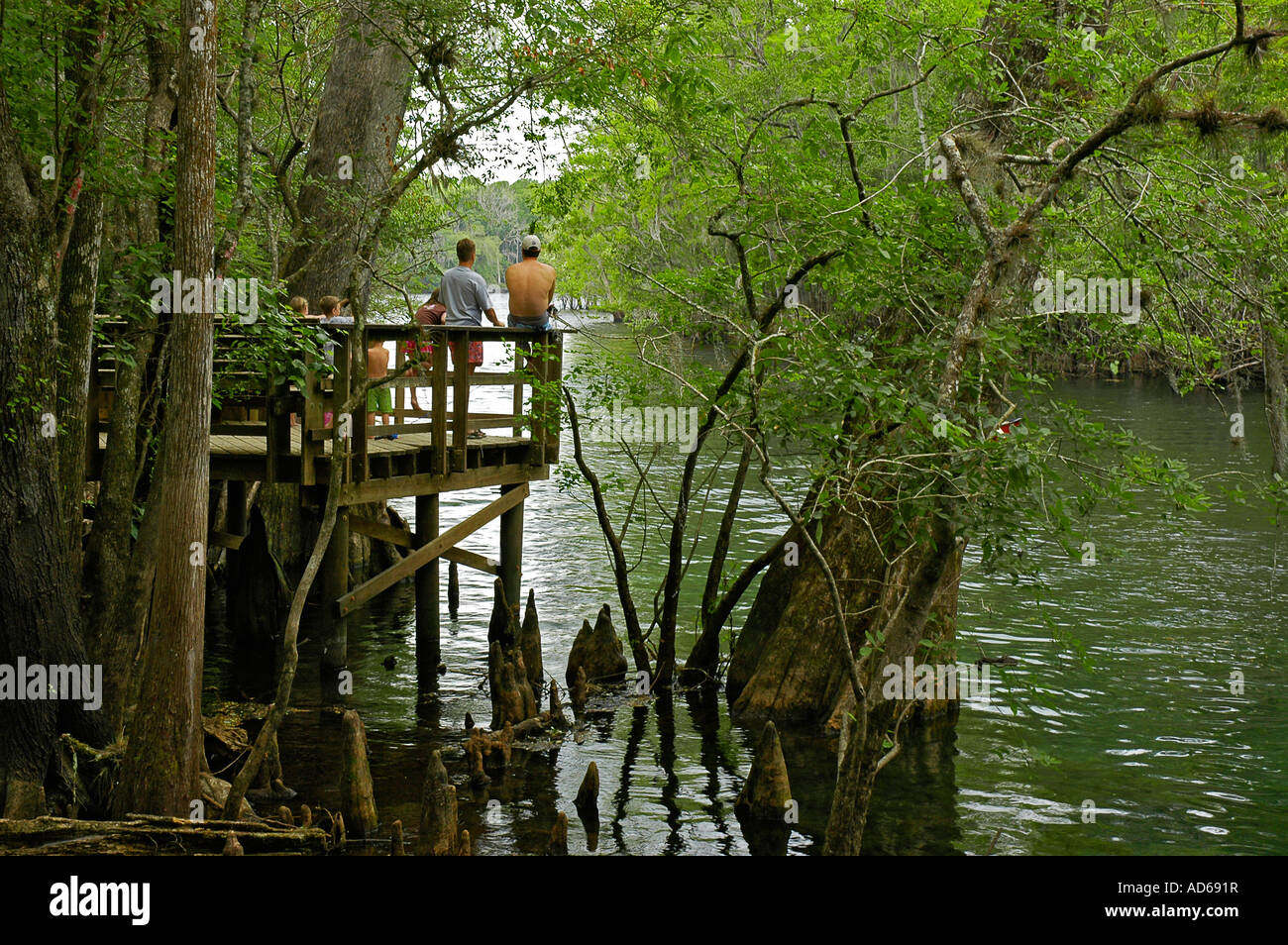family fishing at Manatee Springs State Park North Florida along the ...
