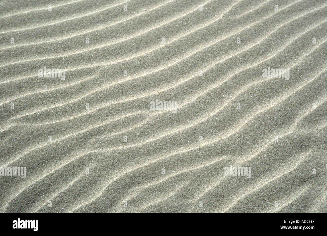 Dry sand ripples Stock Photo - Alamy