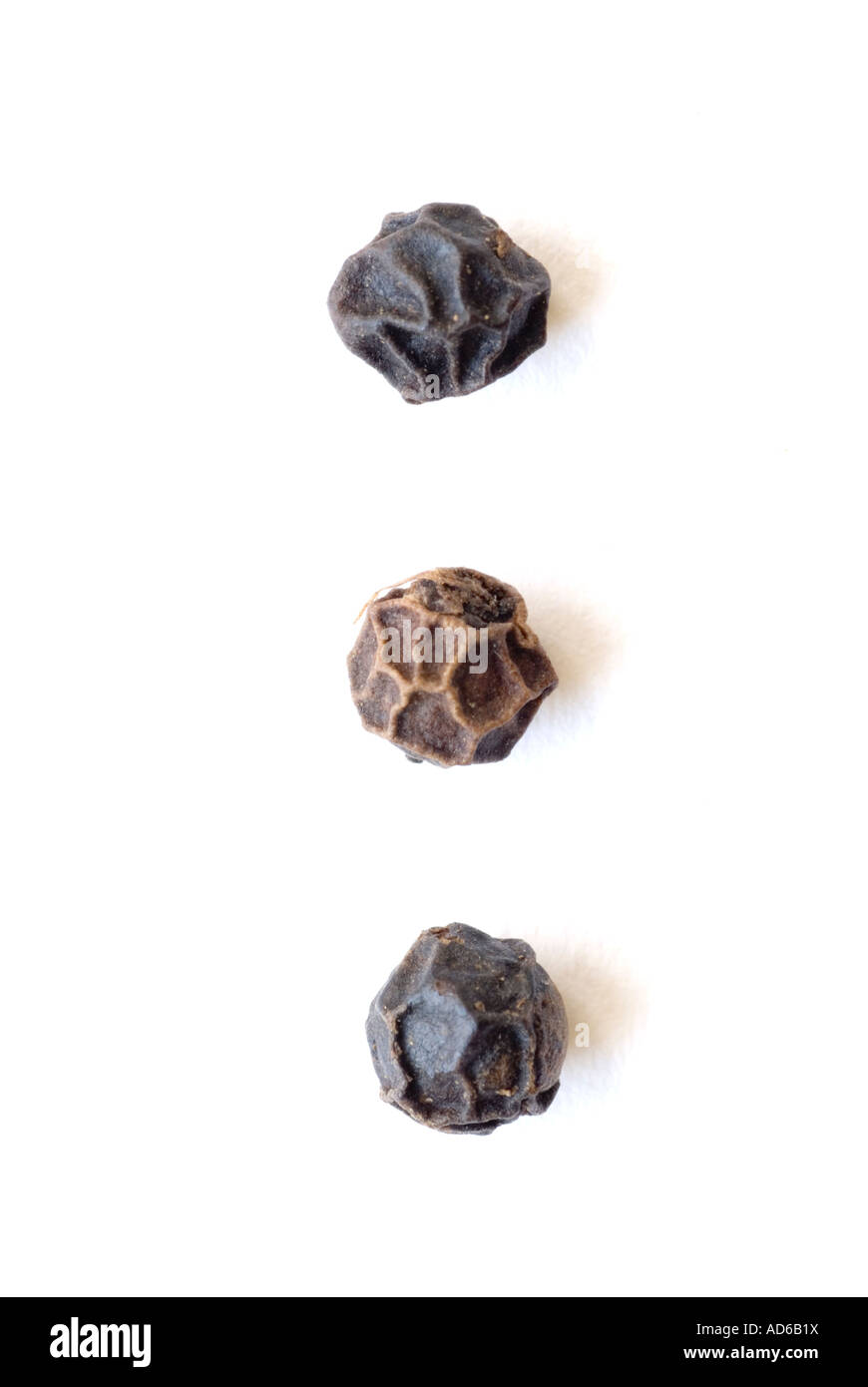 Individual Black Pepper Seeds on white background Stock Photo - Alamy