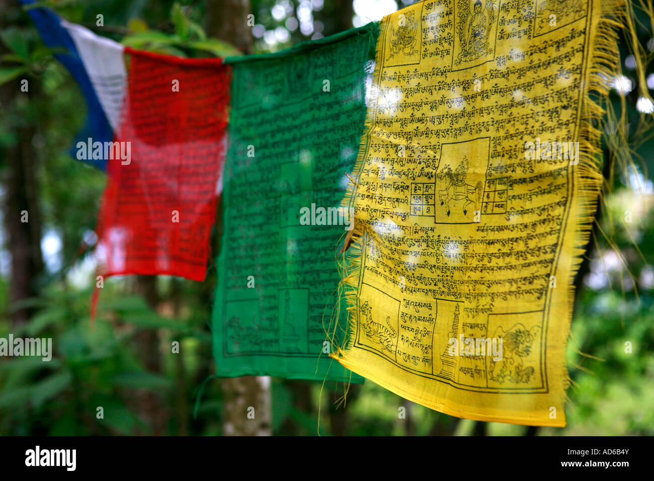 Buddhist prayer flags in West Bengal, India Stock Photo - Alamy