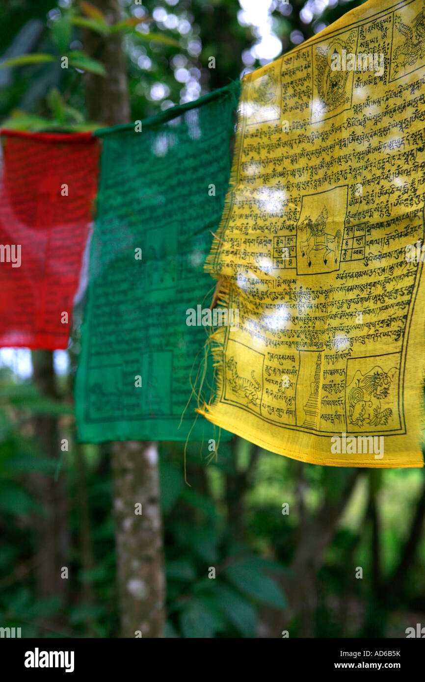 Buddhist prayer flags in West Bengal, India Stock Photo - Alamy