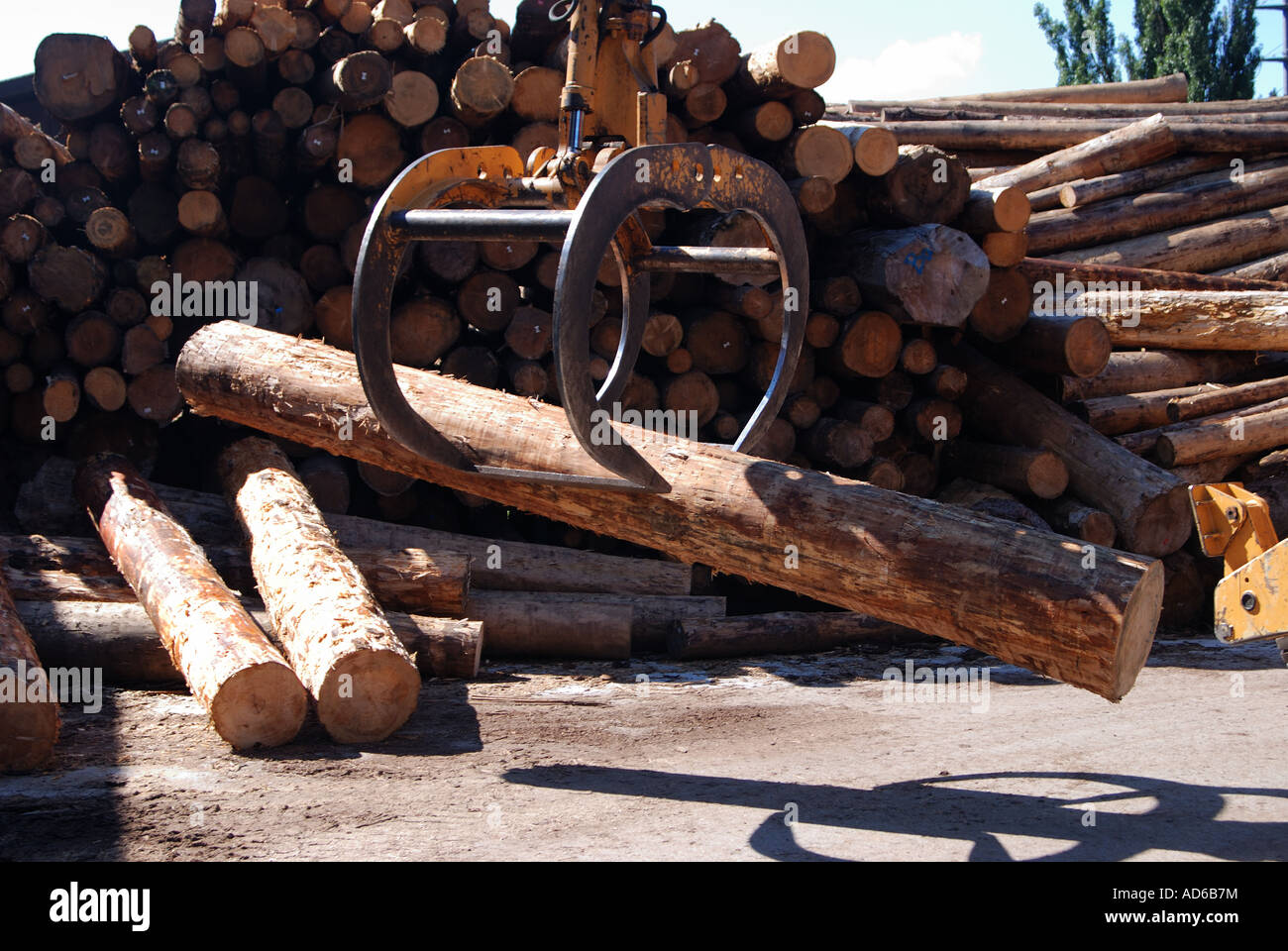 log pick up precision work Stock Photo - Alamy