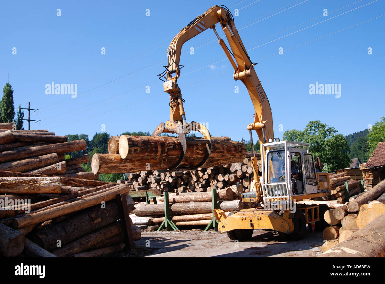 wood logging lumber industry Stock Photo - Alamy