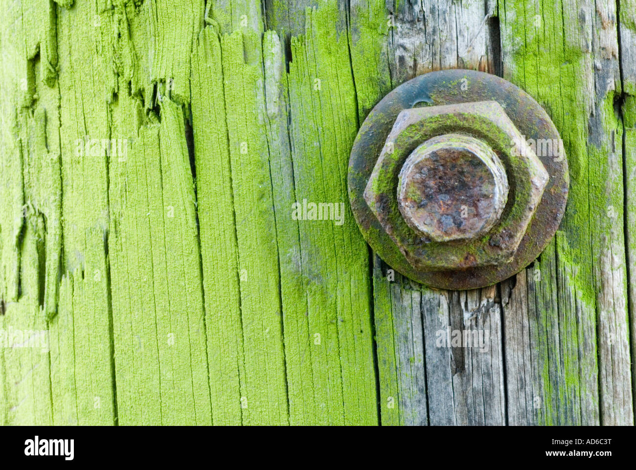 Bolts in wood hi-res stock photography and images - Alamy