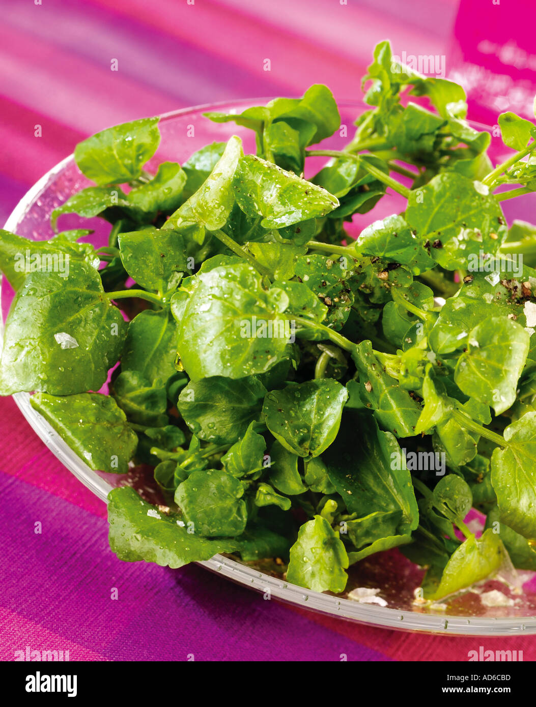 Watercress salad still life hi-res stock photography and images - Alamy