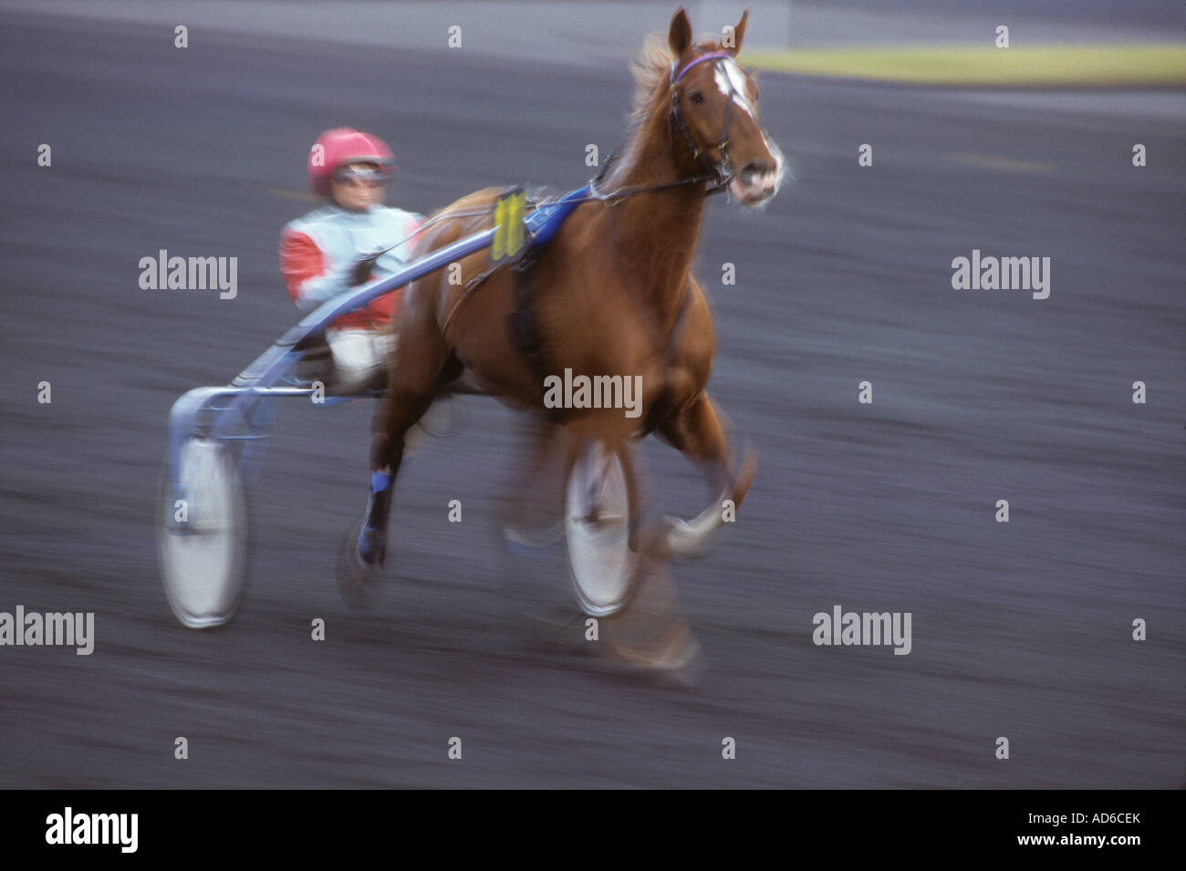 Paris Horses Race High Resolution Stock Photography and Images - Alamy