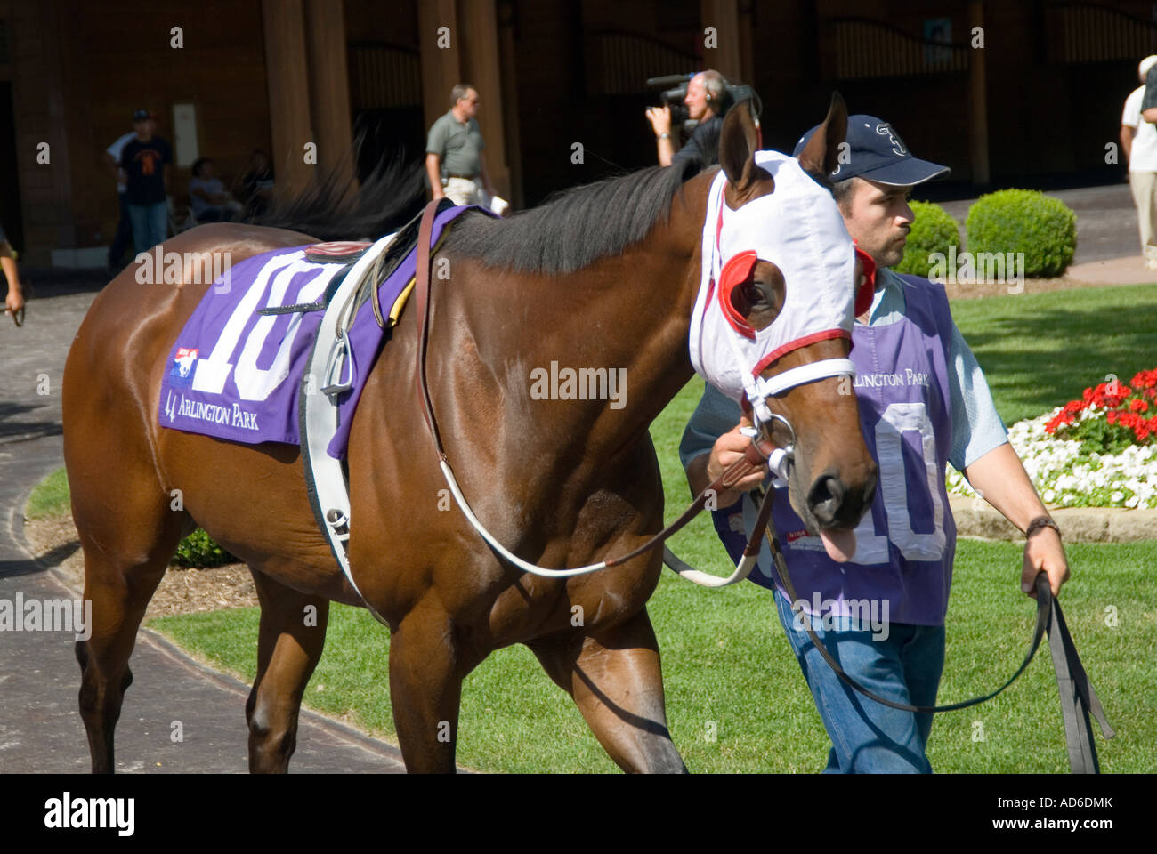 Horse racing paddock parade hi-res stock photography and images - Alamy