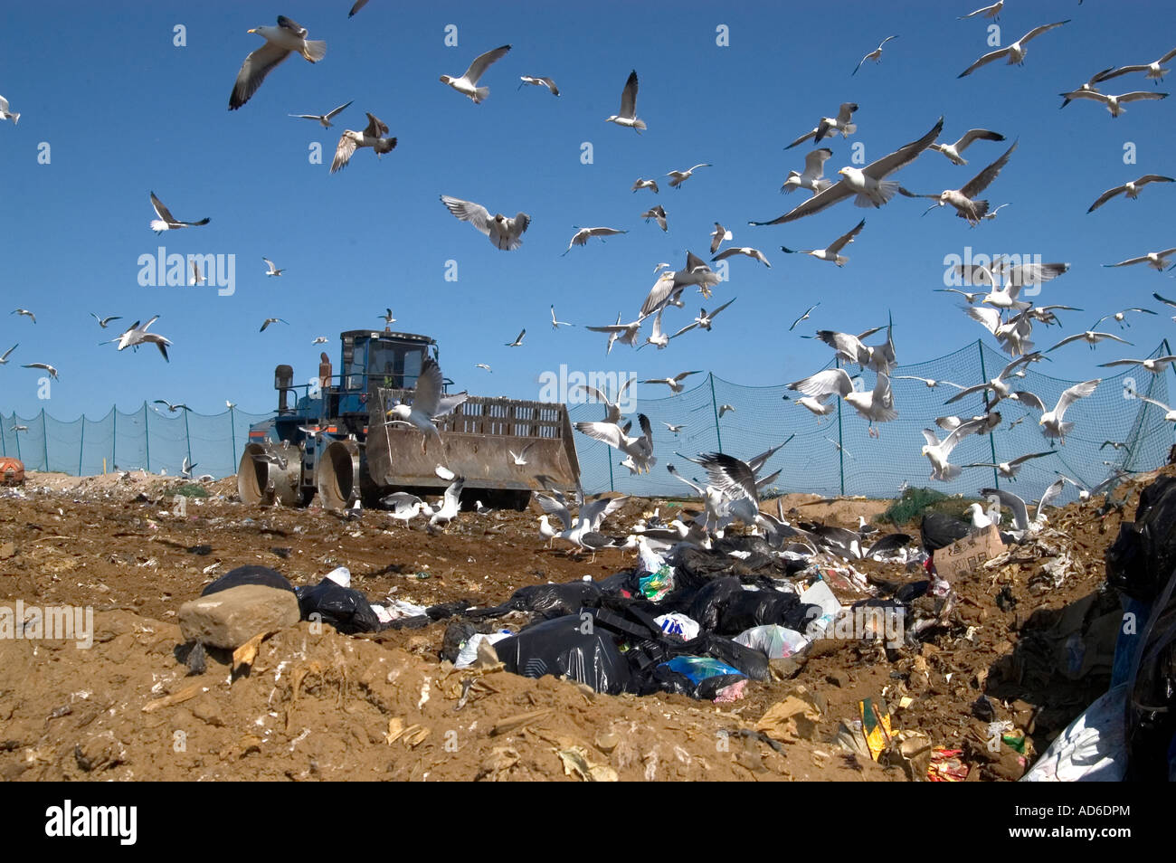 Machine working on landfill site UK Stock Photo - Alamy