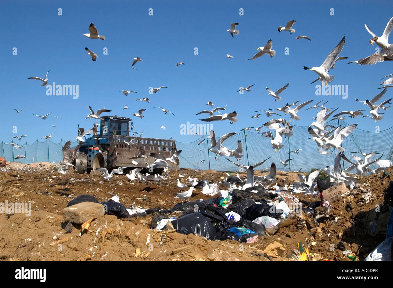 Machine working on landfill site UK Stock Photo - Alamy