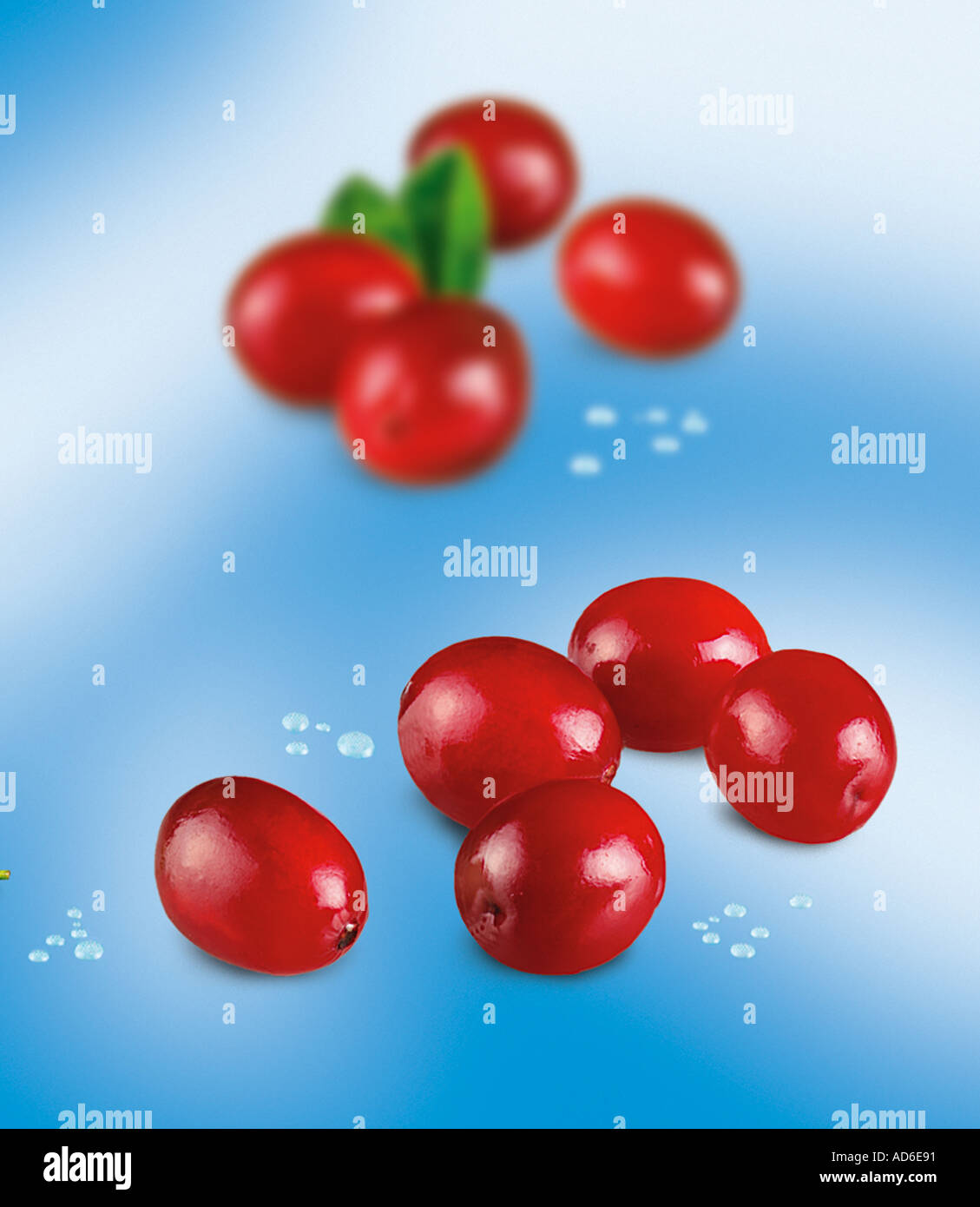 The cranberries hi-res stock photography and images - Alamy