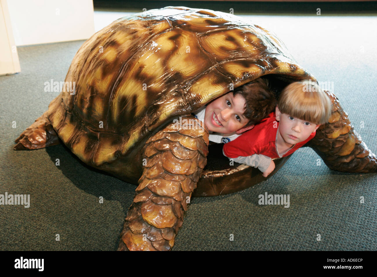 Newport News Virginia,Virginia Living Museum,giant ceramic turtle,boy ...